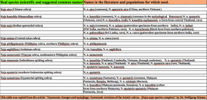 Types of Cobras: The Secret List – Cobras.org