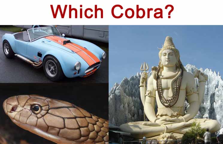 Cobra Alternatives: Which Do You Mean? – Cobras.org