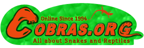 8 Rules For Snake Handling – Cobras.org