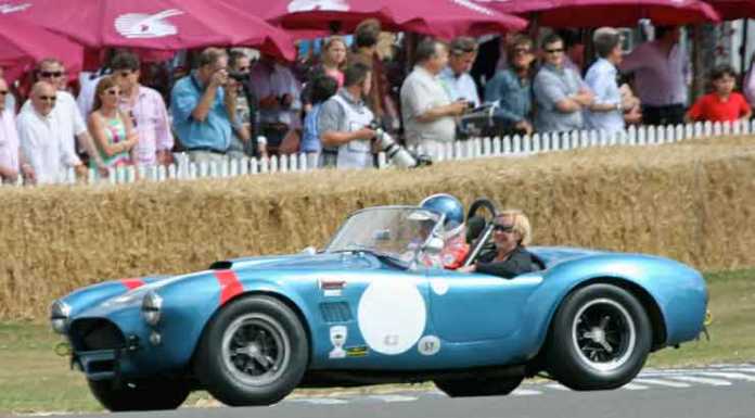 Cobras.org - Information on Cobras and Reptiles Since 1994